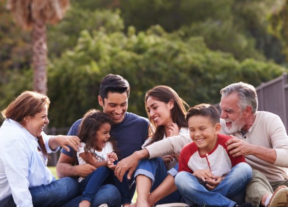 Stories - MSD New Zealand